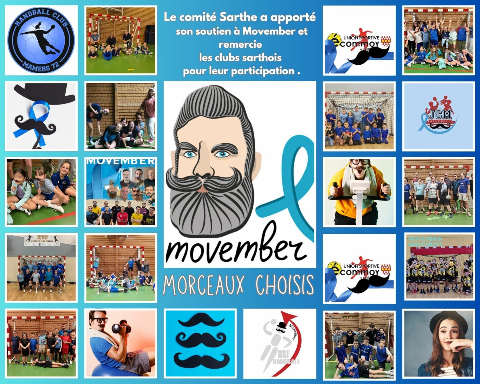 Comité Sarthe handball – Comité Sarthe handball