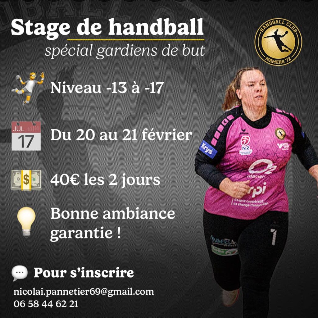 Comité Sarthe handball – Comité Sarthe handball