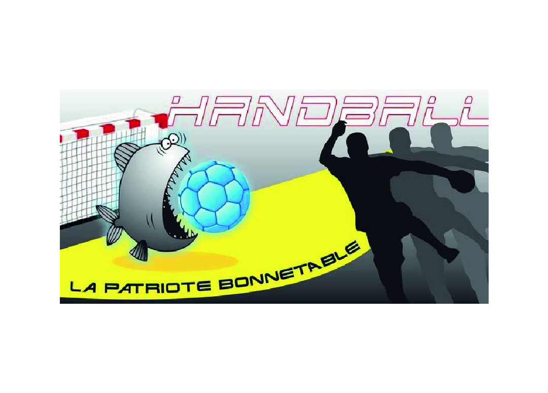 Les clubs – Comité Sarthe handball