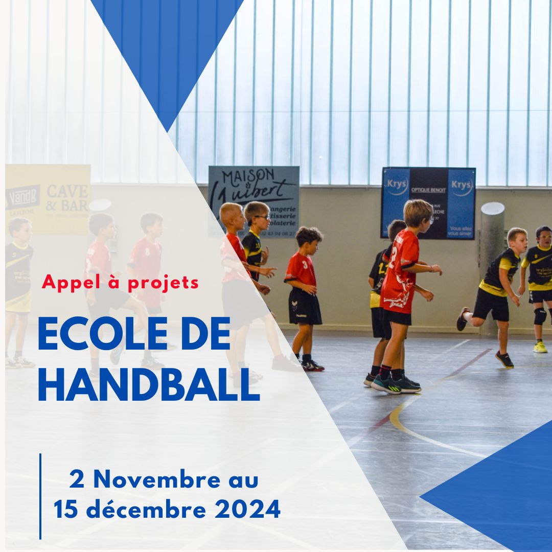 Comité Sarthe handball – Comité Sarthe handball